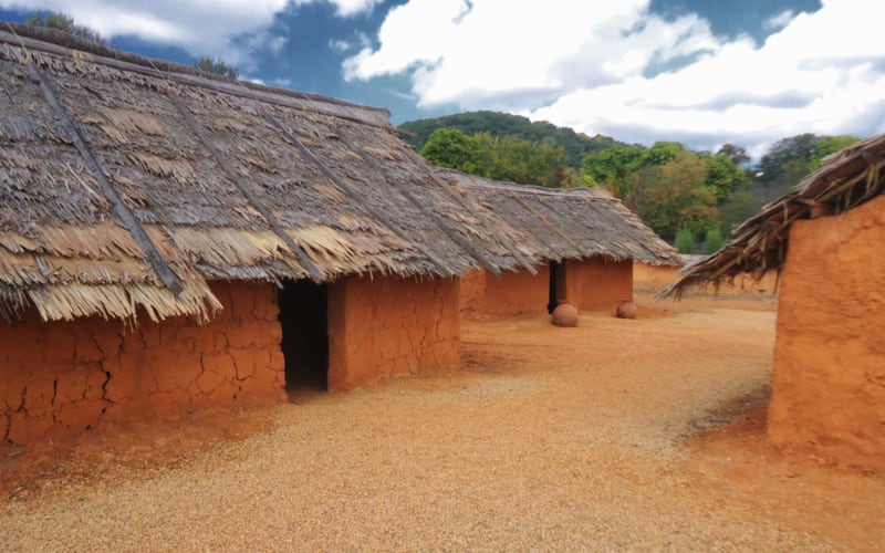 How Do You Cycle Fadogia Agrestis? - Fadogia Agrestis Australia